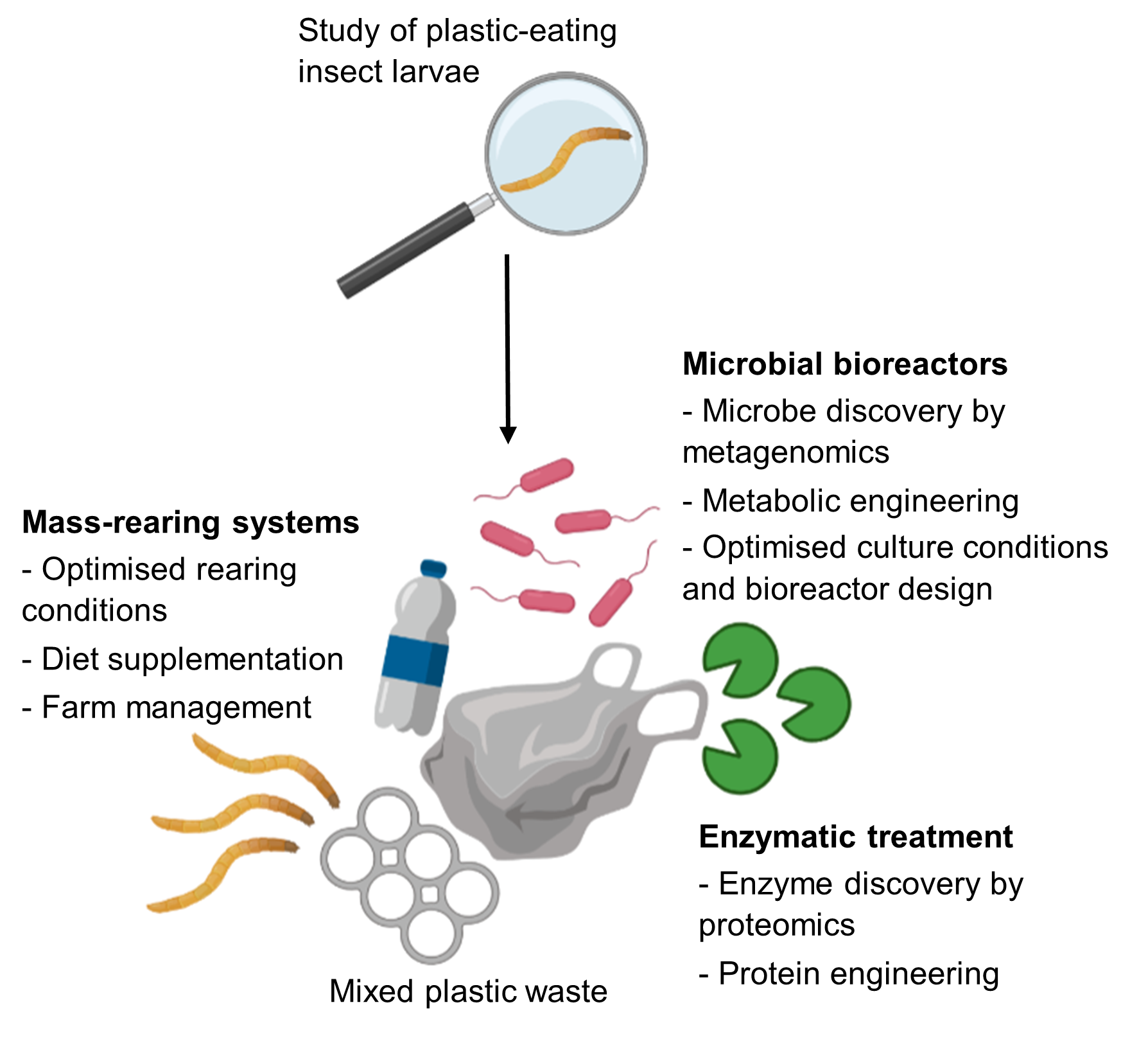 Plastic-Eating Insect Larvae Offer Solutions to Our Plastic Waste ...